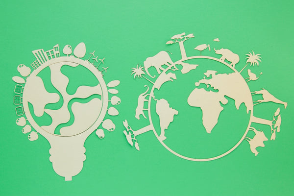 Interpath Services: Partners in Sustainability - Interpath Services Pty Ltd