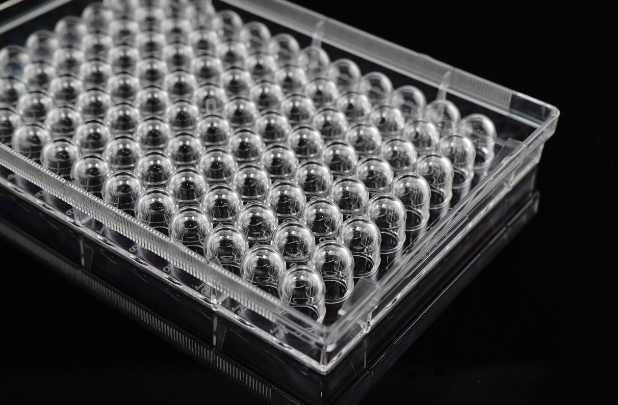 Nest Biotechnology Cell Cult Plate U Bot TC St 96 Well